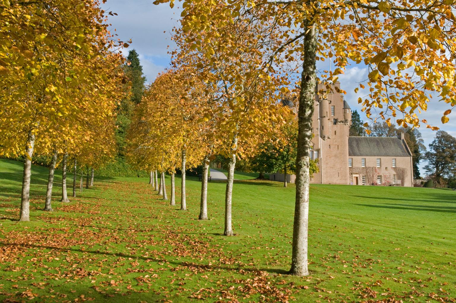 The National Trust for Scotland - Naomi Korn Associates